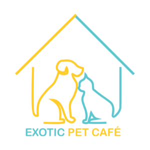 Who We Are - JAM-Forte Technologies Ltd